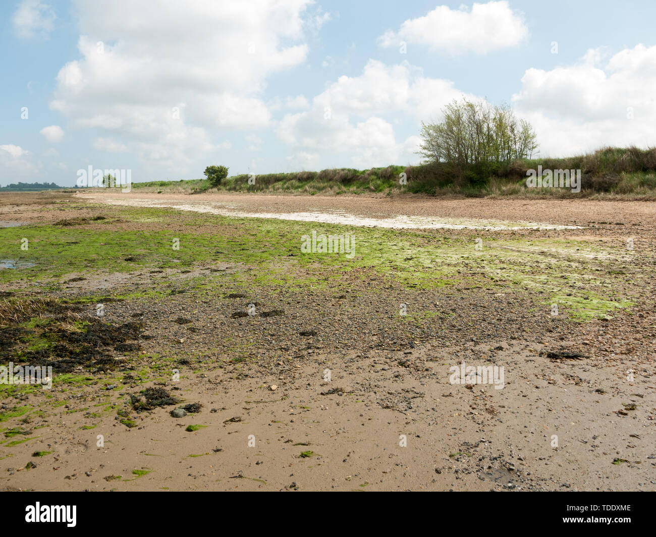 Beautiful harbour landscape scene outside summer bar coast; england ...