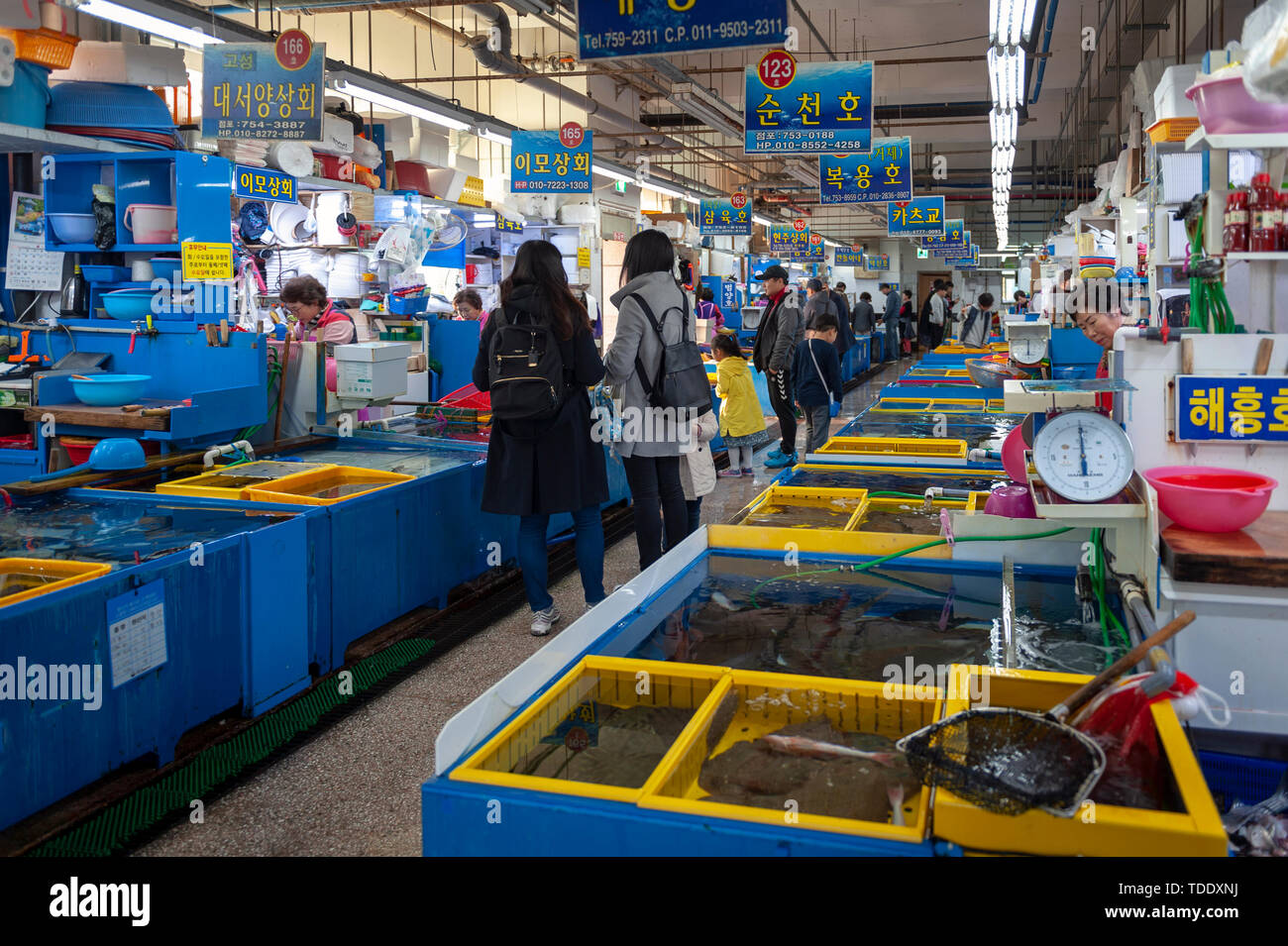 Busan, South Korea - April 2019: Fresh seafood sold at Millak Raw Fish ...