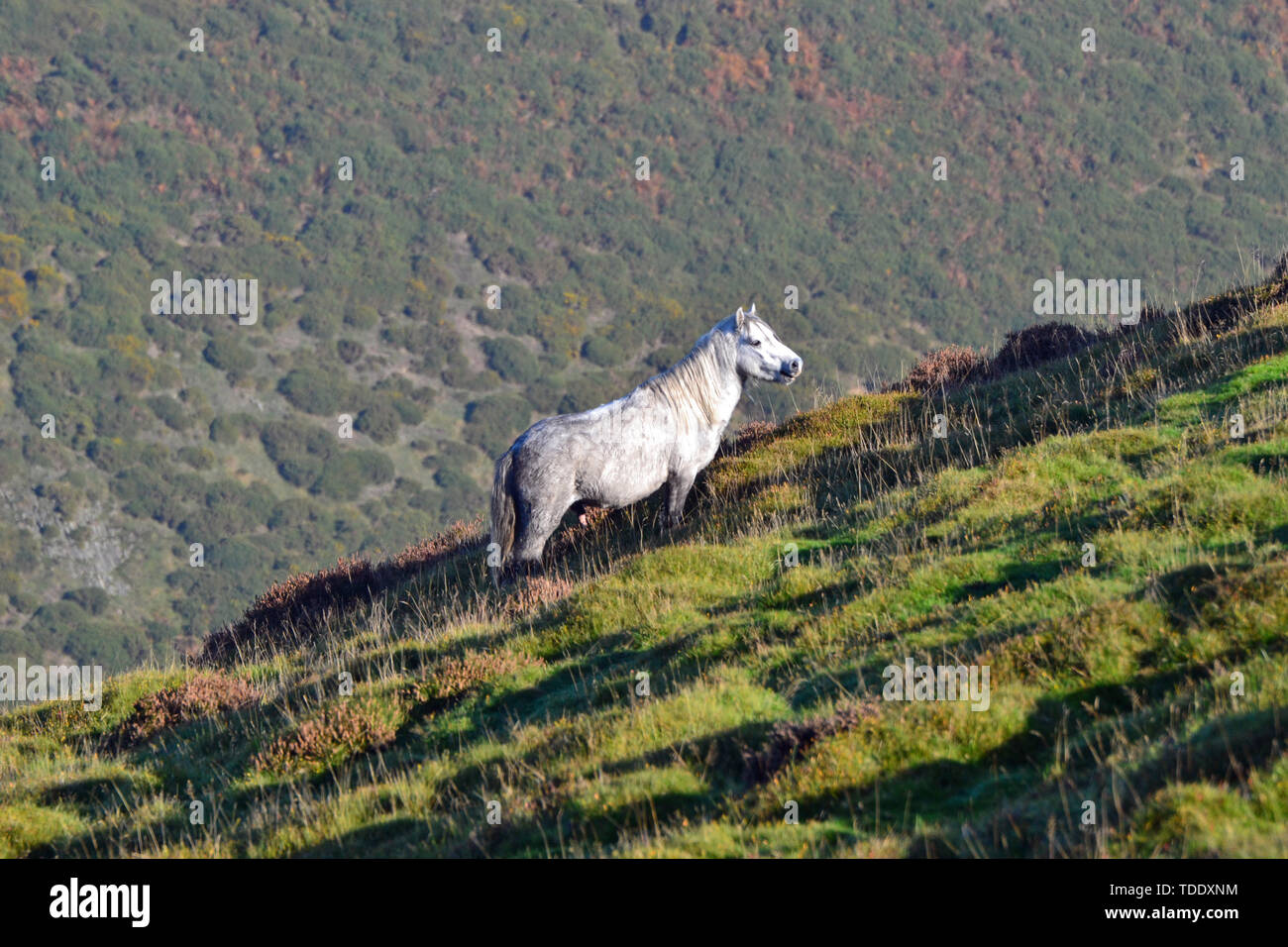 Hills and peaks hi-res stock photography and images - Alamy