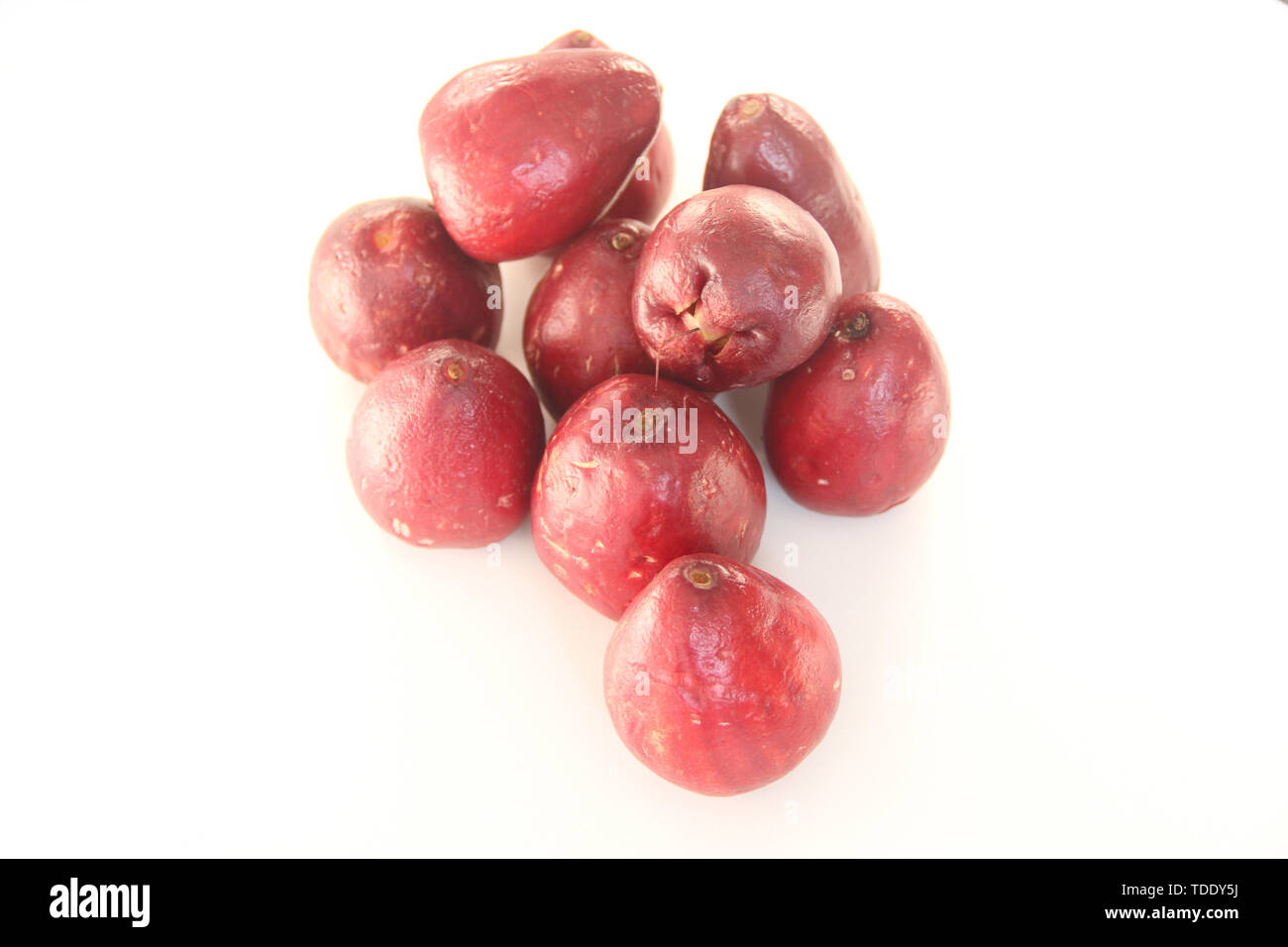 Syzygium jambos, jambo-rosa, jambo, São Paulo, Brazil Stock Photo - Alamy