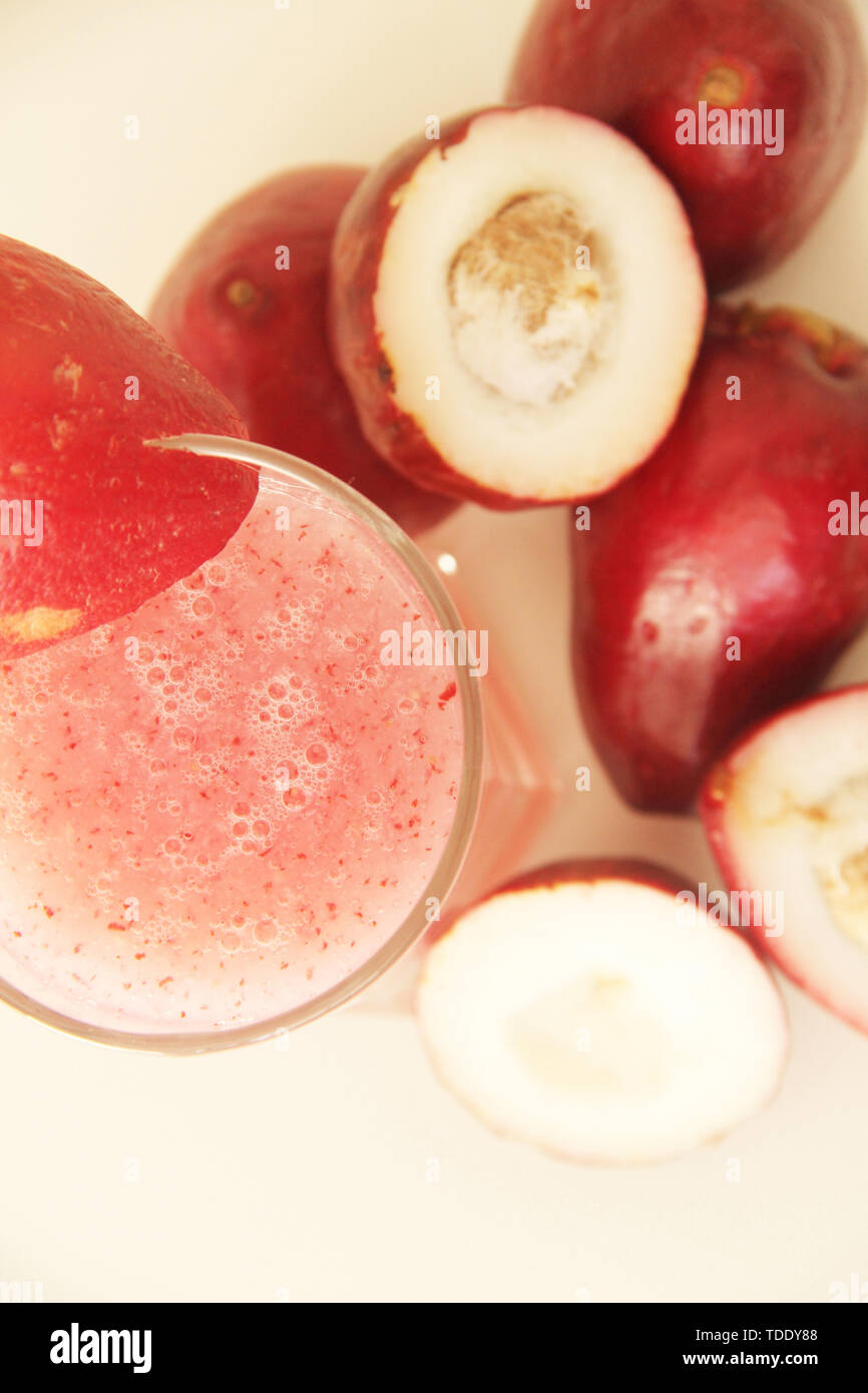 Syzygium jambos, jambo-rosa, jambo, São Paulo, Brazil Stock Photo - Alamy