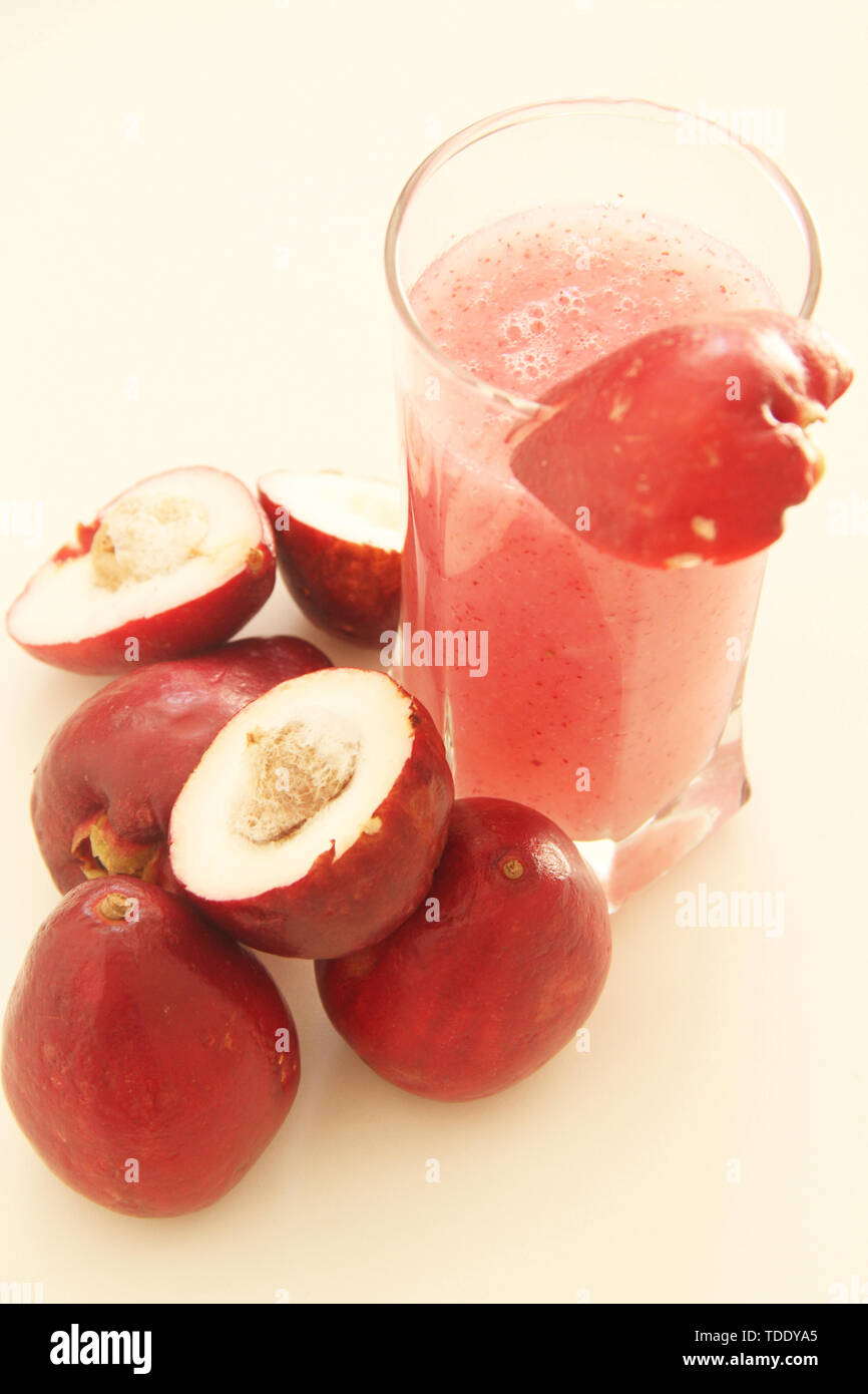 Syzygium jambos, jambo-rosa, jambo, São Paulo, Brazil Stock Photo - Alamy