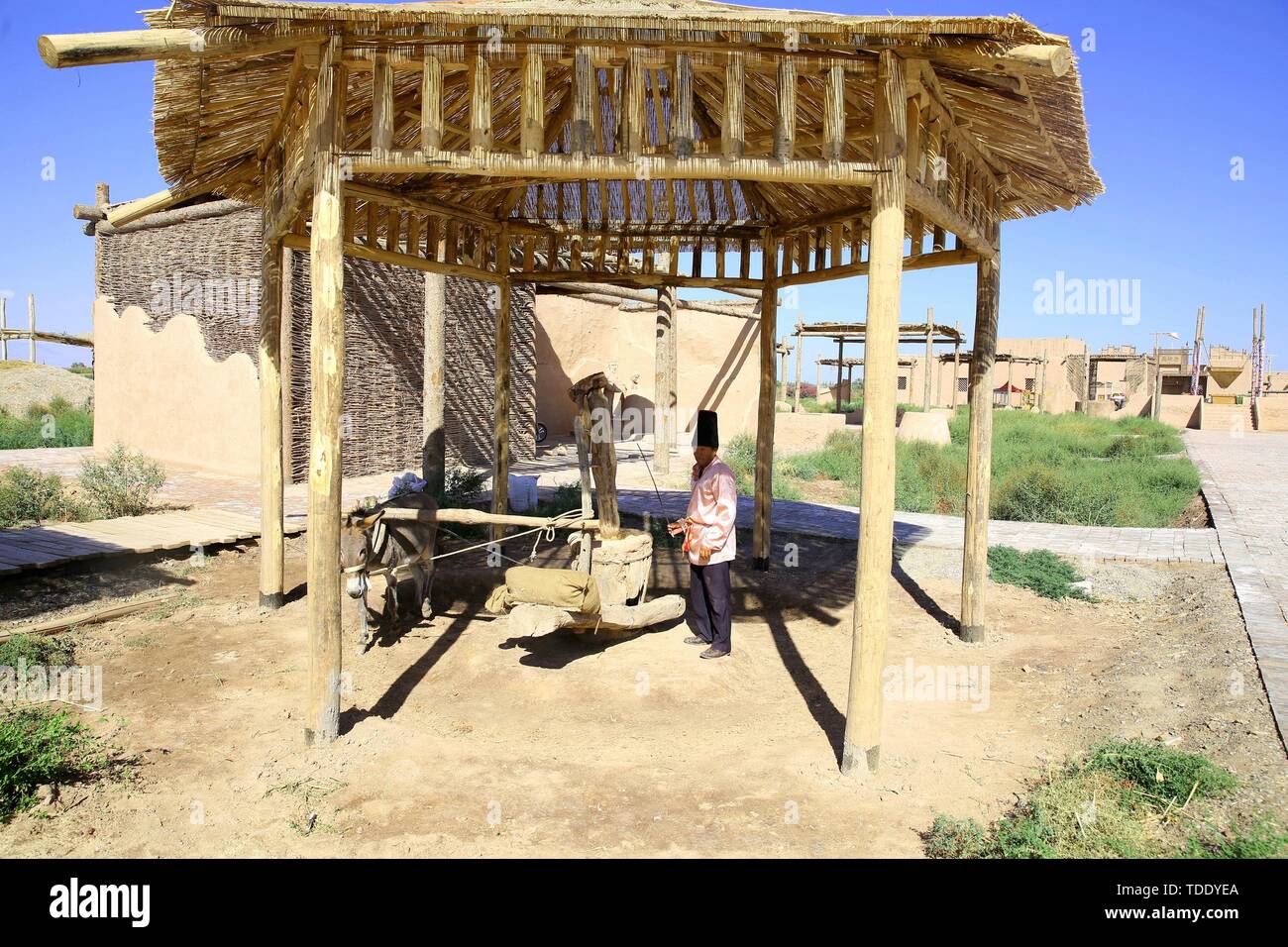 Oil extraction, ancient oil extraction technology Stock Photo - Alamy