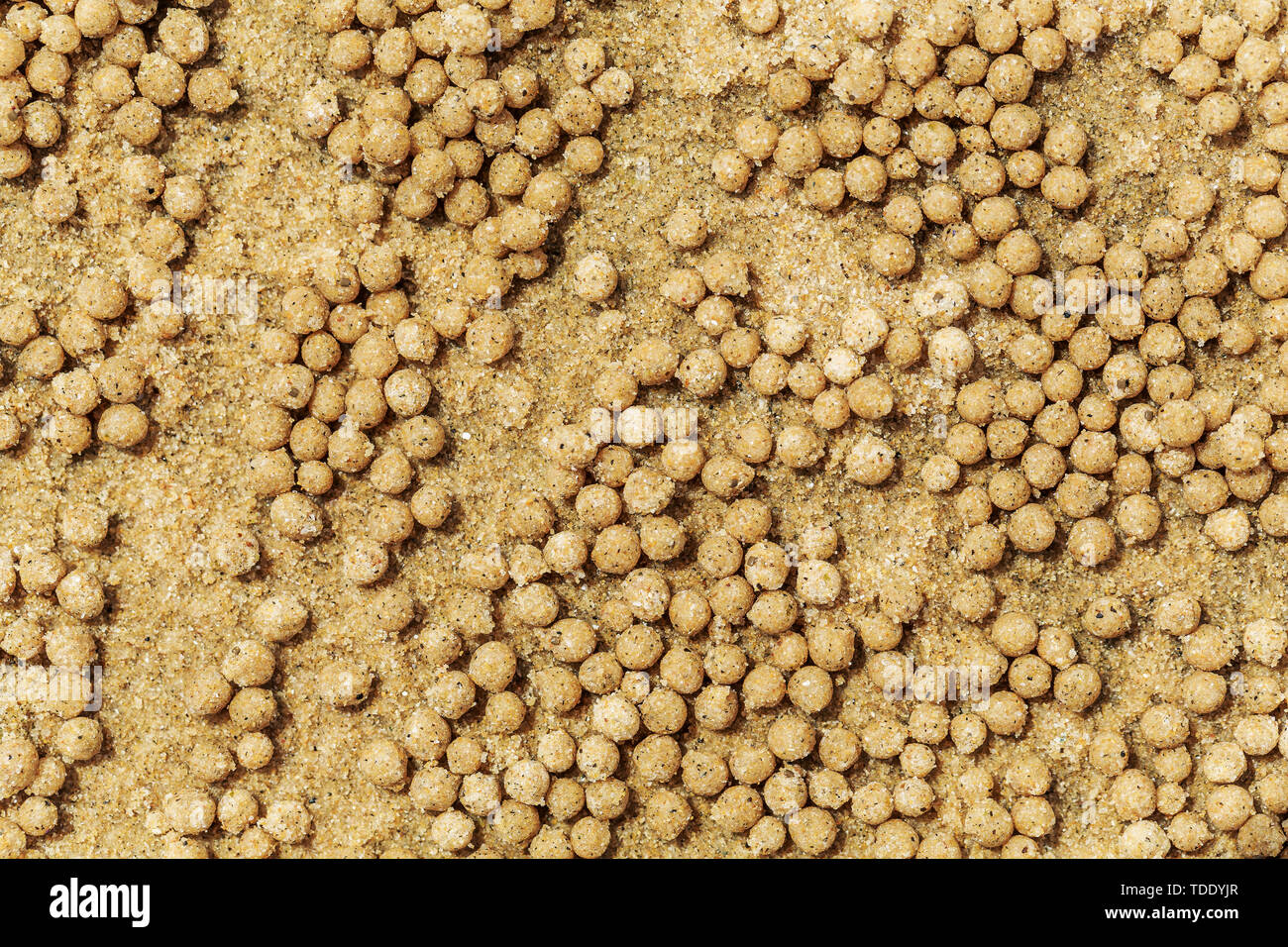 Texture hd hi-res stock photography and images - Alamy