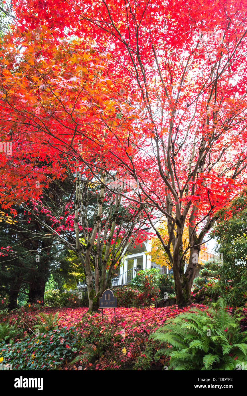 Red avenue hi-res stock photography and images - Alamy
