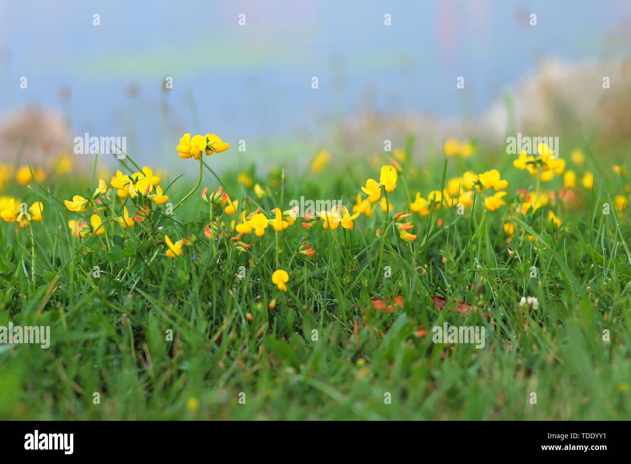 Ground Level Shot High Resolution Stock Photography and Images - Alamy