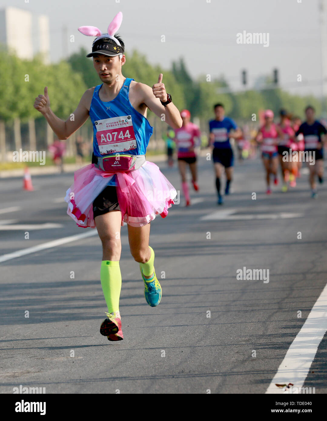 During the marathon, the running cute rabbit walked Stock Photo - Alamy