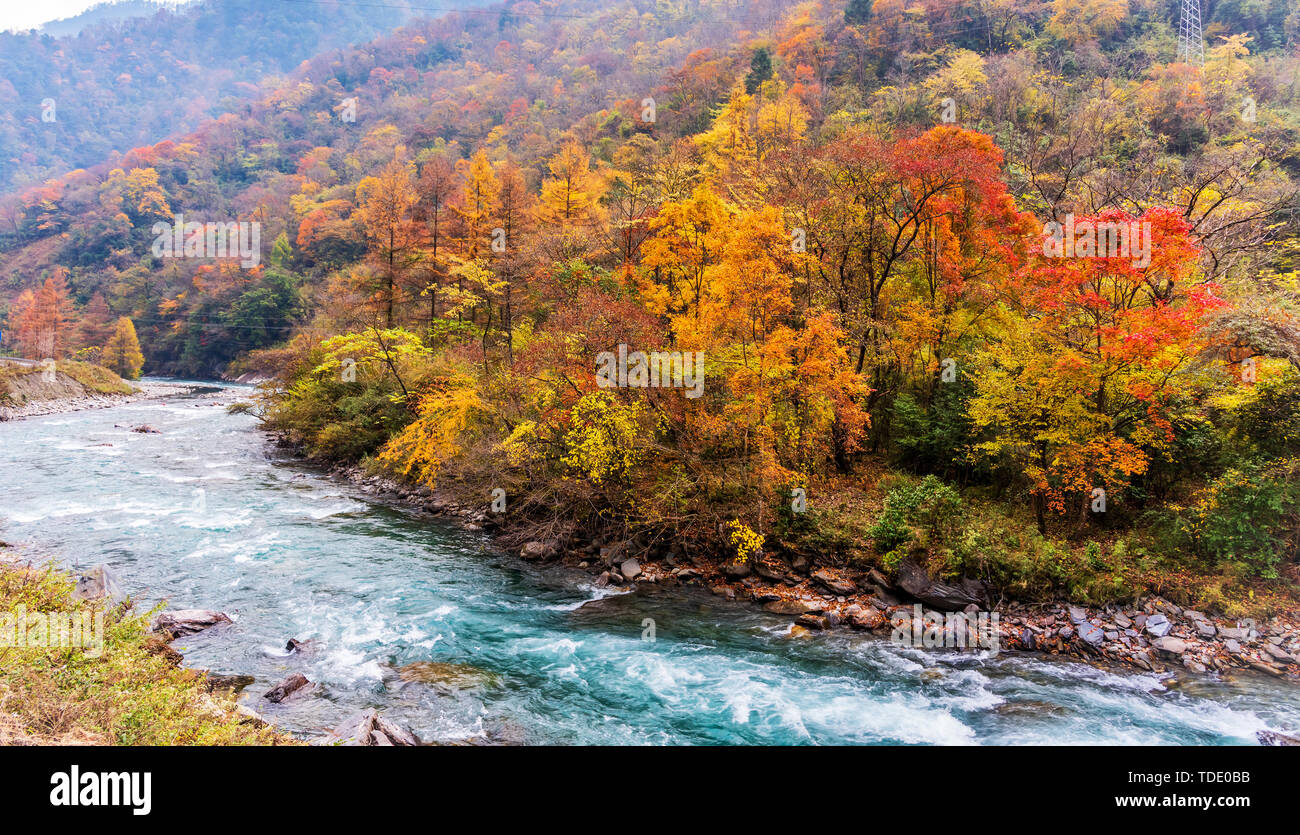 Sichuan mountains rocks trees hi-res stock photography and images - Alamy