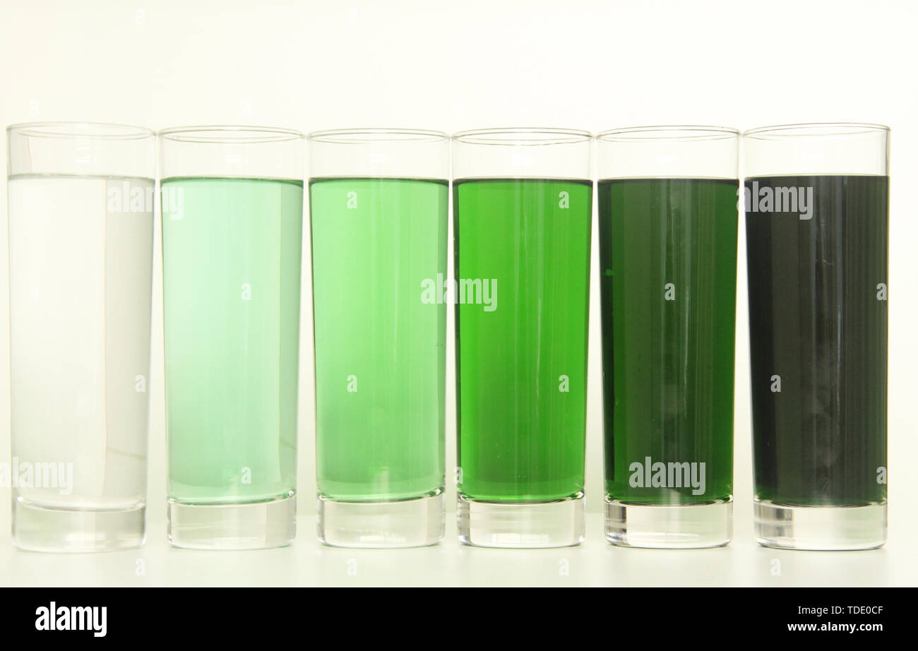 Five glasses of green liquid on white background, São Paulo, Brazil ...