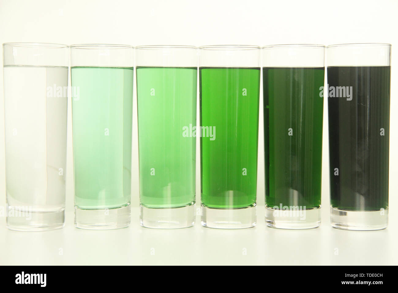 Five glasses of green liquid on white background, São Paulo, Brazil ...