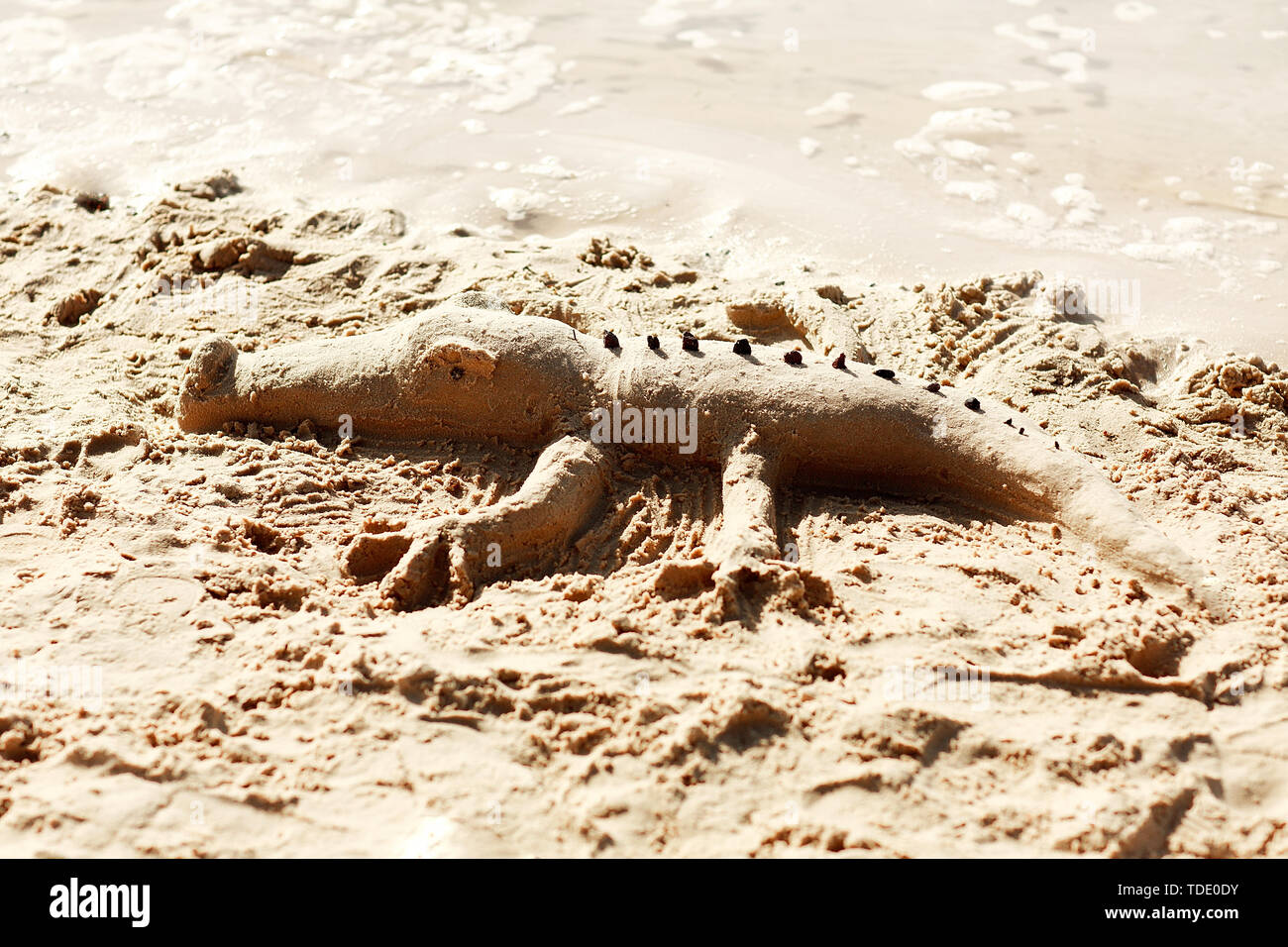 Crocodile made of sand on the beach hi-res stock photography and images ...