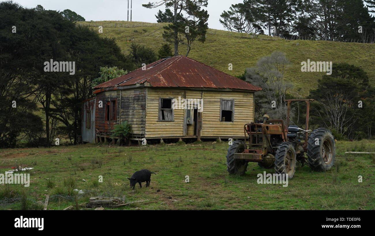 Abandoned farm in coromandel bay Stock Photo - Alamy