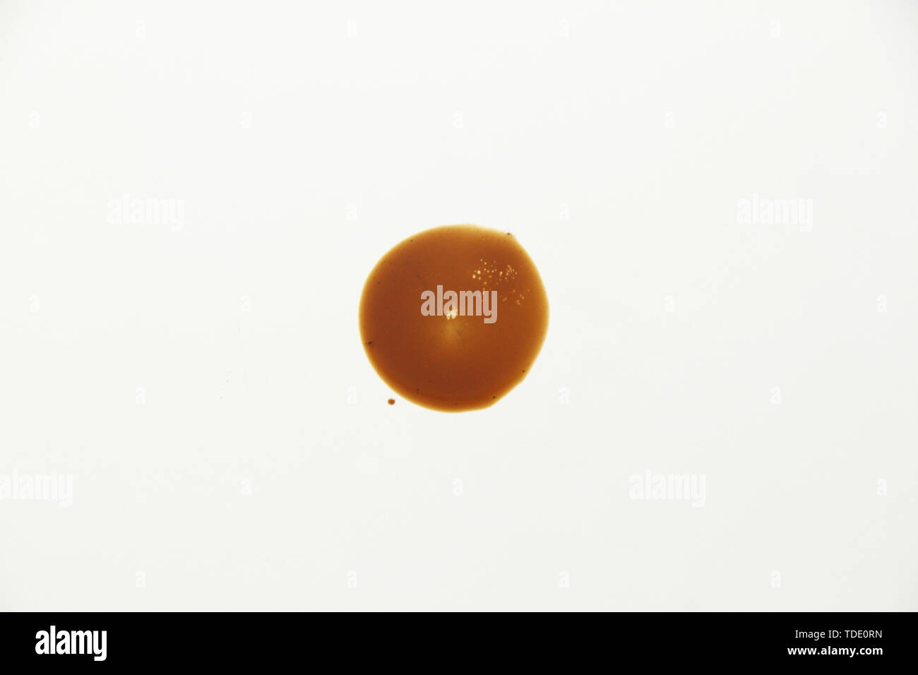 Oil spot isolated on white background, São Paulo, Brazil Stock Photo ...