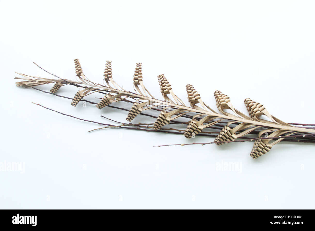 Dry handcraft flower in isolated white background, São Paulo, Brazil ...