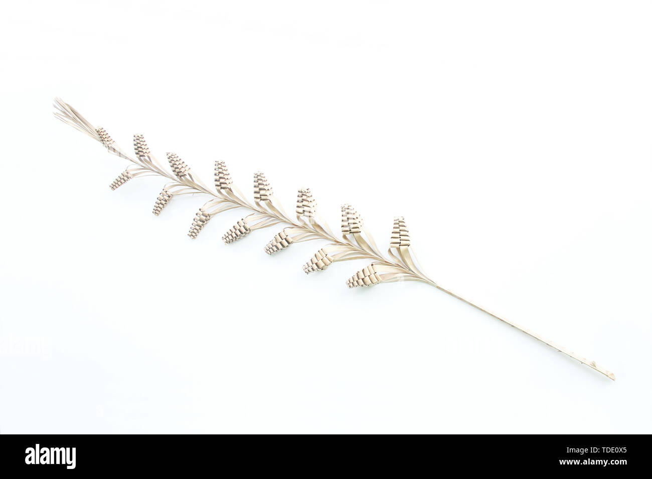 Dry handcraft flower in isolated white background, São Paulo, Brazil ...