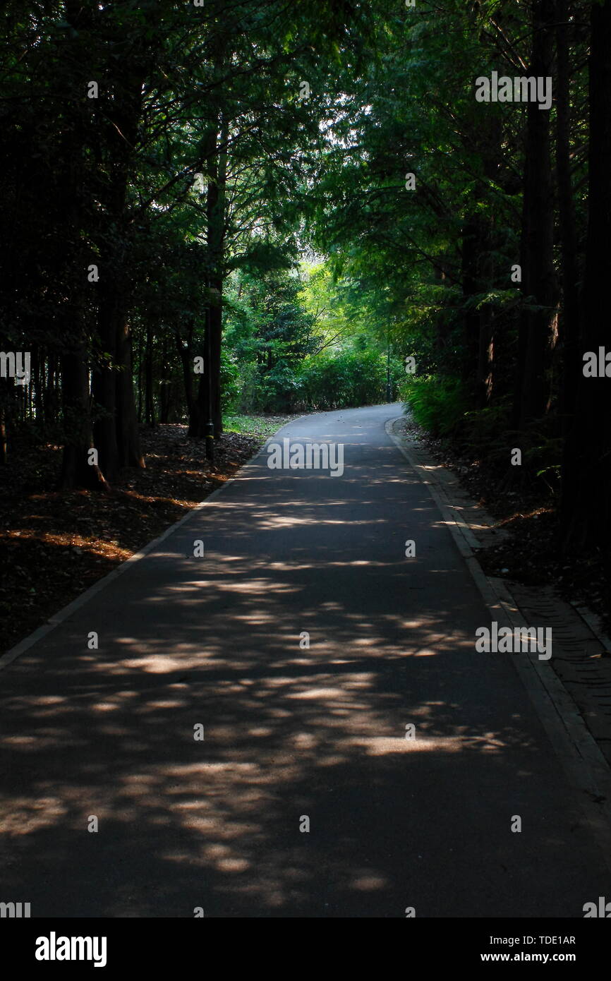 Shanghai Binjiang Forest Park Scenery Stock Photo - Alamy
