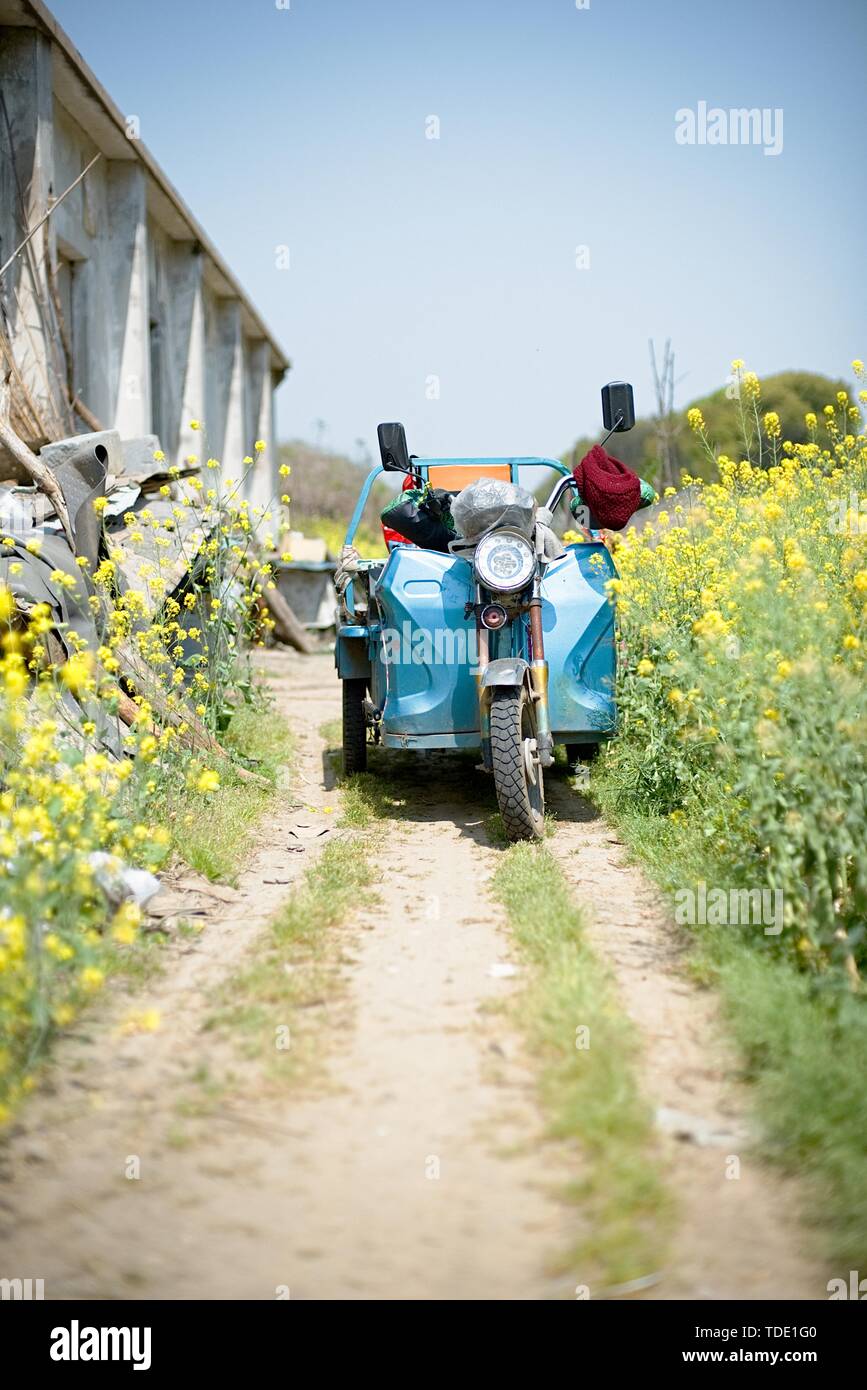 Fanhua hi-res stock photography and images - Alamy