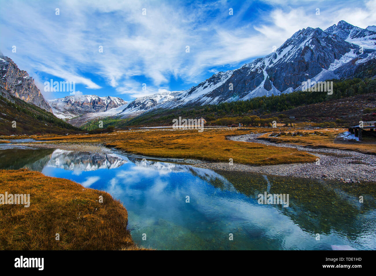 Scenery of Luo velvet cattle farm in Taocheng, Sichuan Province Stock ...