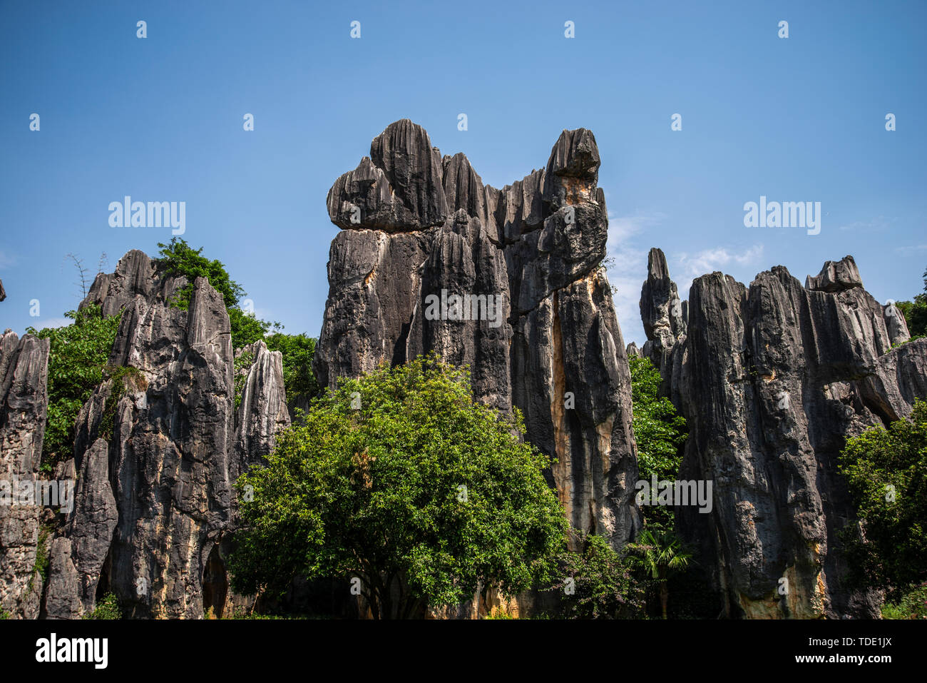 Stone Forest Scenic Area known as the World Geopark in Kunming City ...