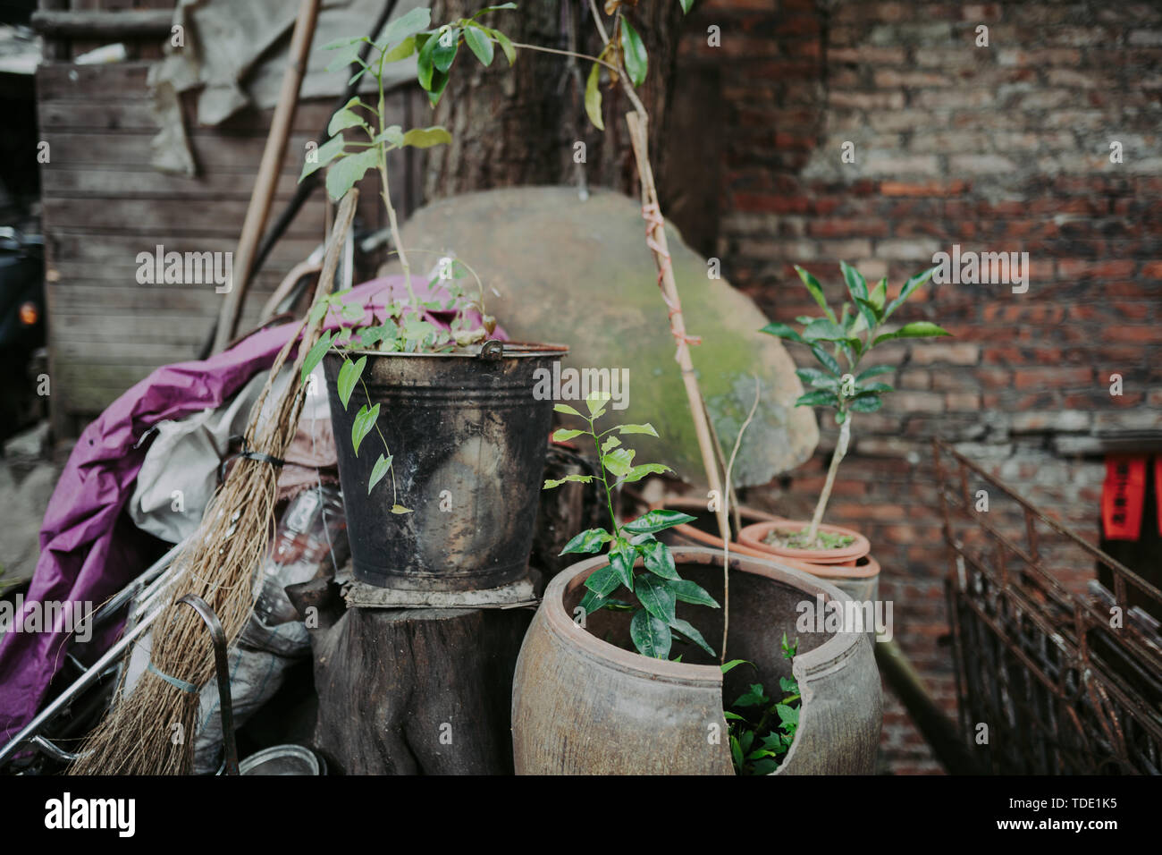 Scenes of life Stock Photo - Alamy