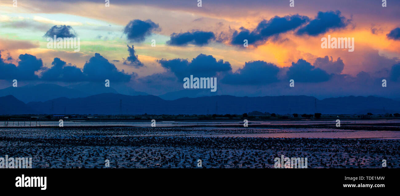 The wetlands and the sun and lakes hi-res stock photography and images ...