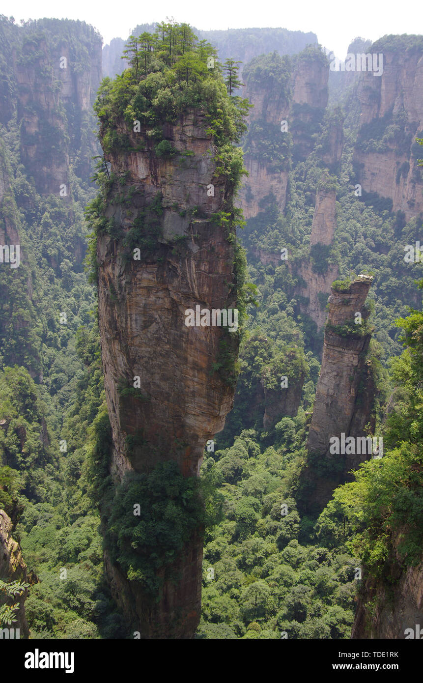 The scenery of Zhangjiajie, Hunan Stock Photo - Alamy