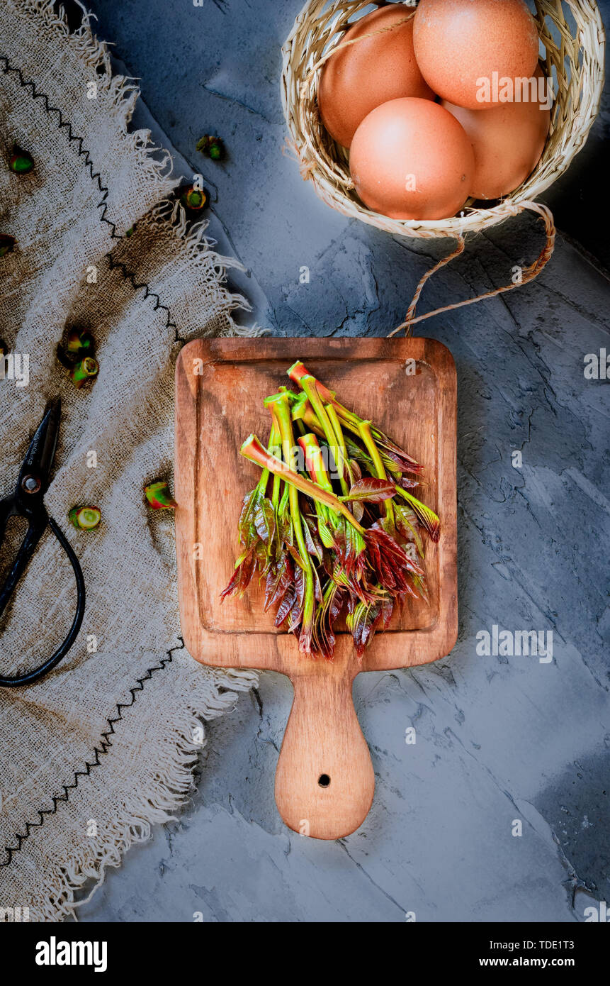 Toona sinensis hi-res stock photography and images - Alamy