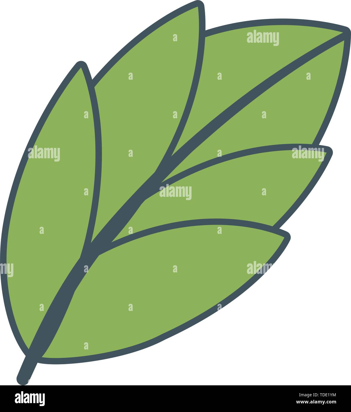 nature leaf cartoon vector illustration graphic design Stock Vector ...