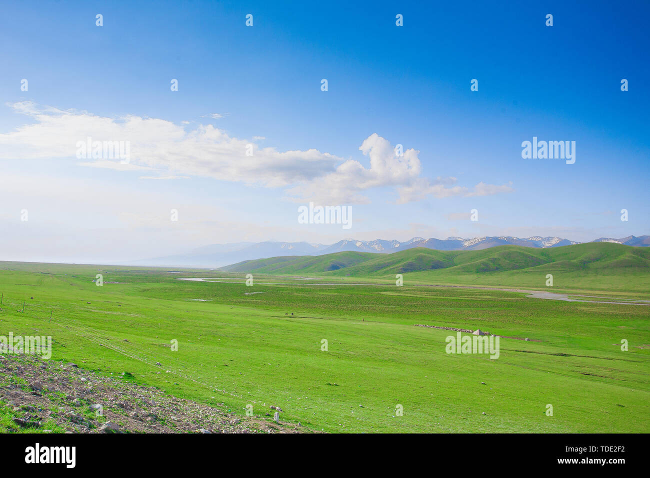 Kaidu river hi-res stock photography and images - Alamy