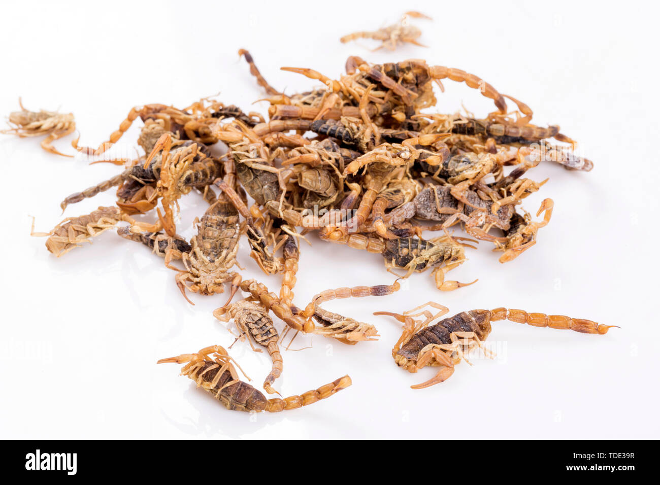 Whole worm hi-res stock photography and images - Alamy