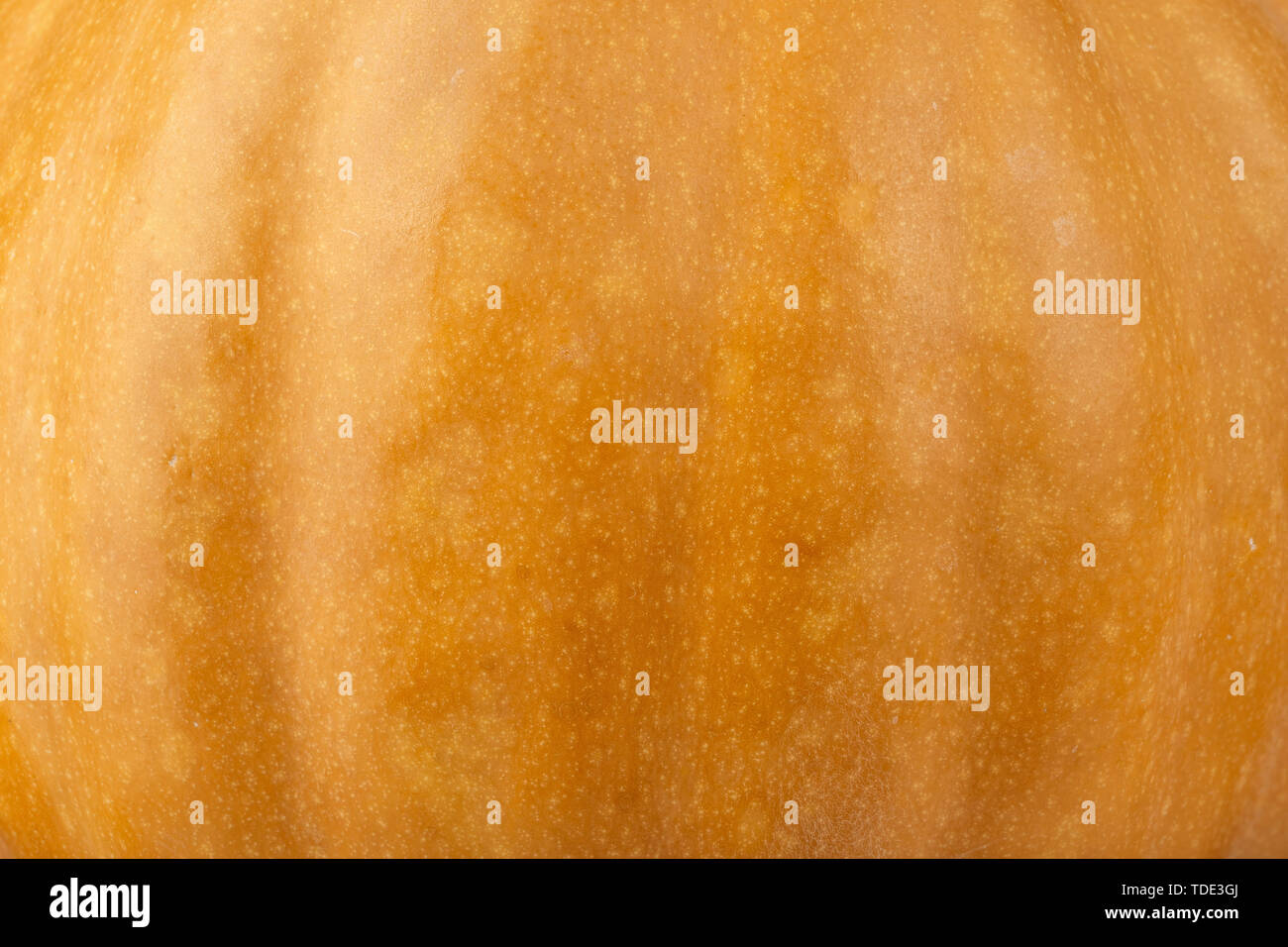 Texture of fresh orange pumpkin closeup Stock Photo - Alamy