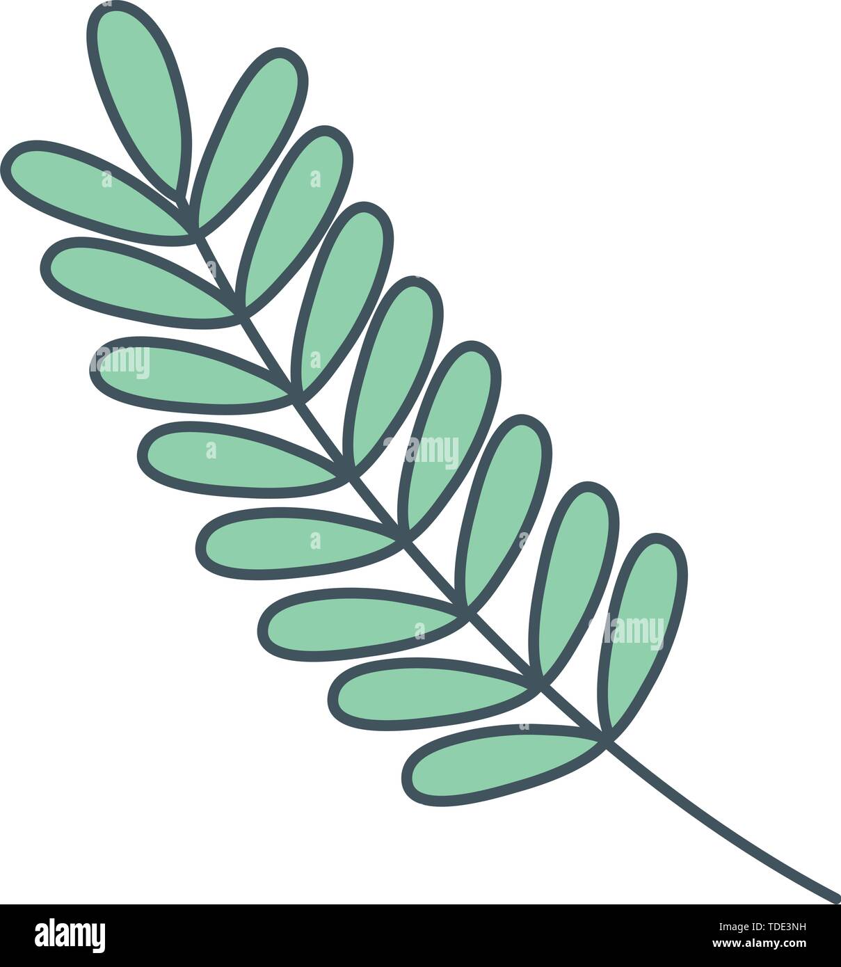 nature leafs cartoon vector illustration graphic design Stock Vector ...