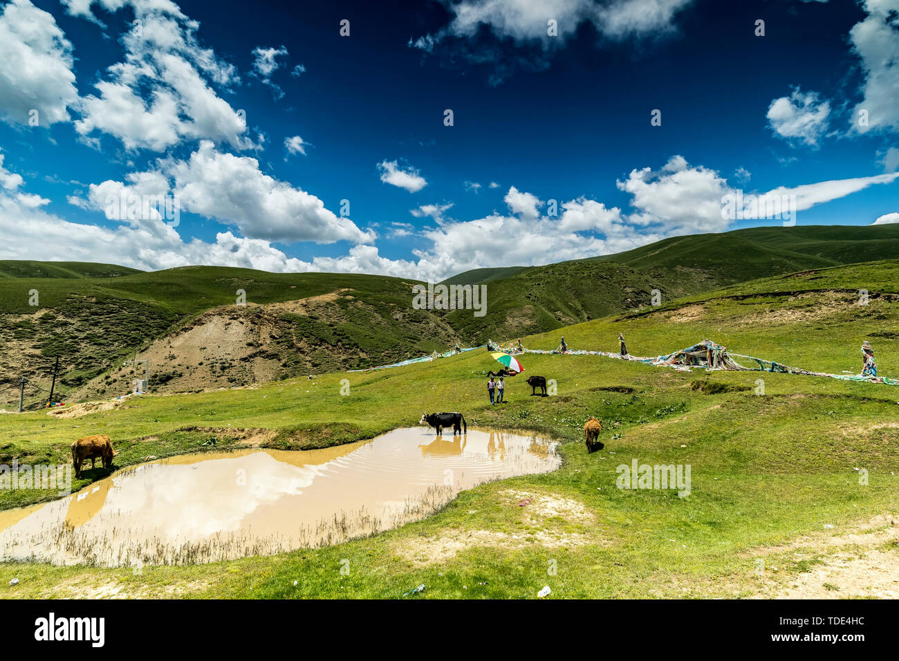 Long Youth Cole Temple Behind Mountain Scenery 1 (Long Youth Cole ...