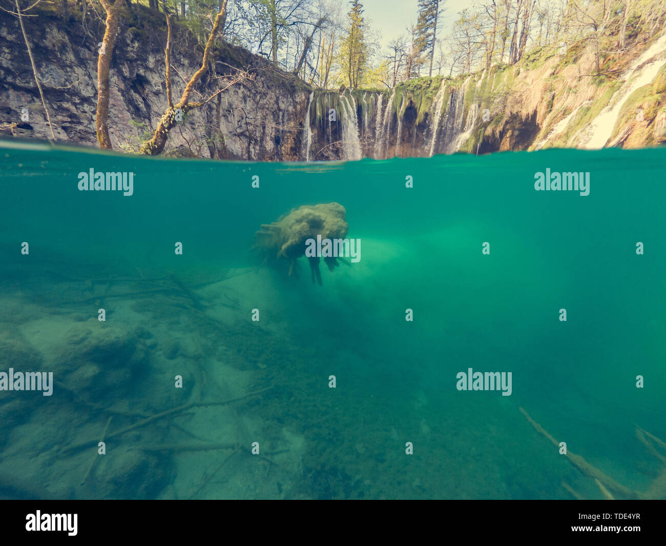 Amazing split view of lake with sunken tree trunk. Plitvice national ...