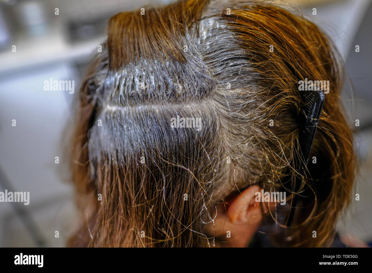 Grey coloured roots hi-res stock photography and images - Alamy