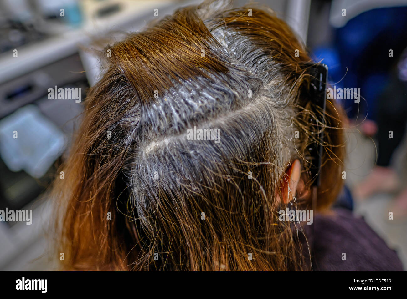 Hair Colour Application Salon High Resolution Stock Photography and ...