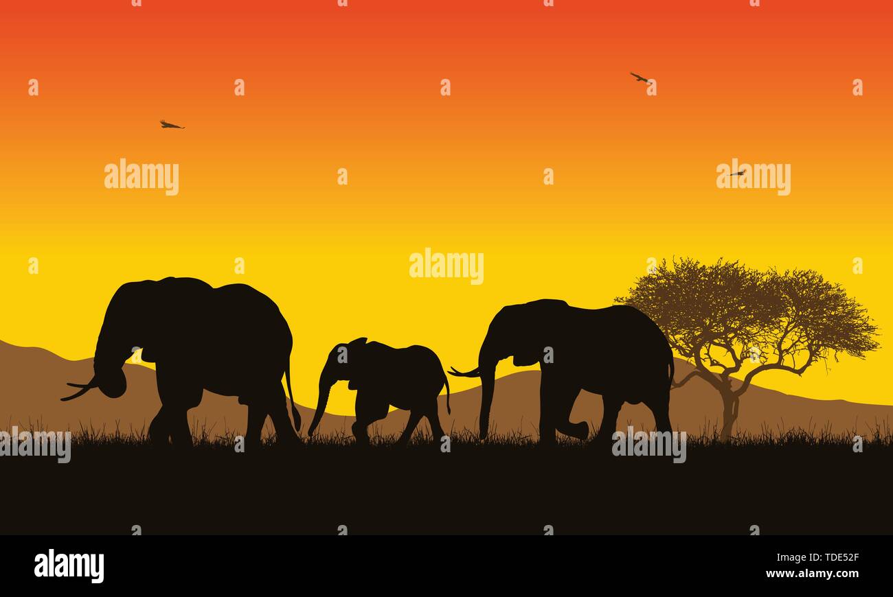 Realistic illustration of African landscape with safari, trees and ...