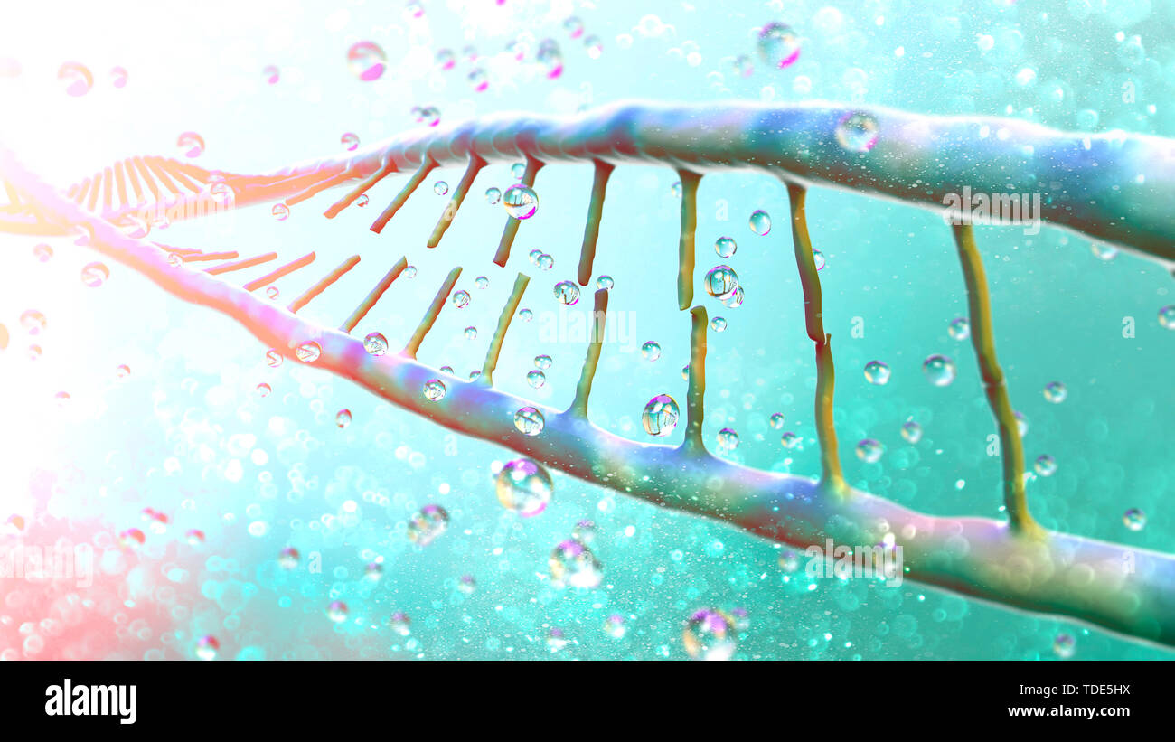 DNA, Deoxyribonucleic acid is a thread-like chain of nucleotides ...