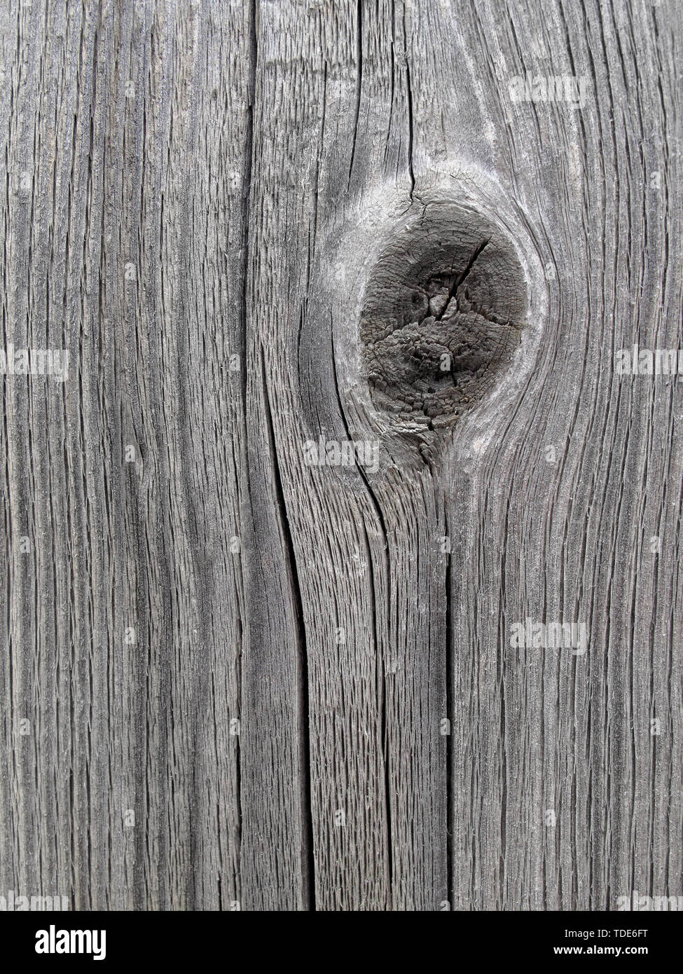 Texture of weathered wood Stock Photo - Alamy