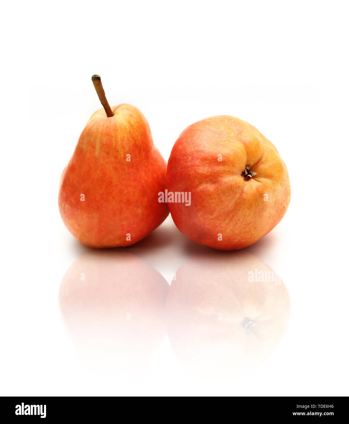 Two ripe red pears hi-res stock photography and images - Alamy