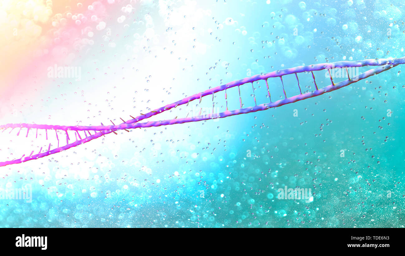 DNA, Deoxyribonucleic acid is a thread-like chain of nucleotides ...