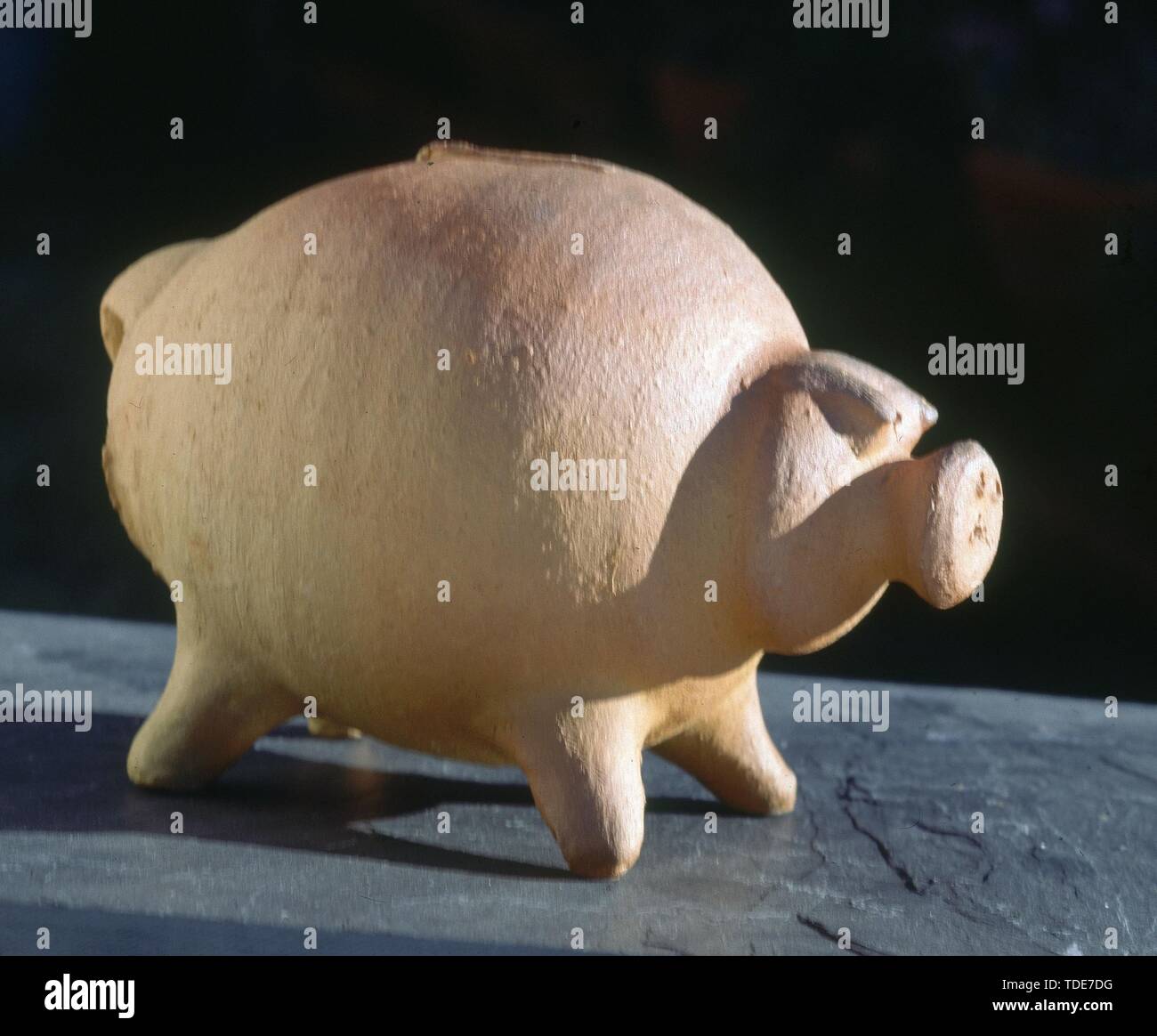 Hucha de cerdo hi-res stock photography and images - Alamy