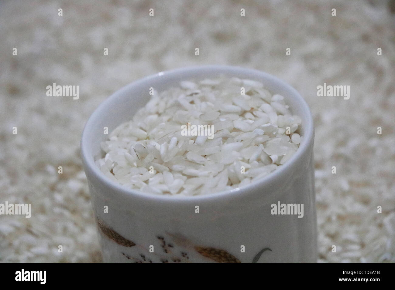 Indica rice japonica rice hi-res stock photography and images - Alamy