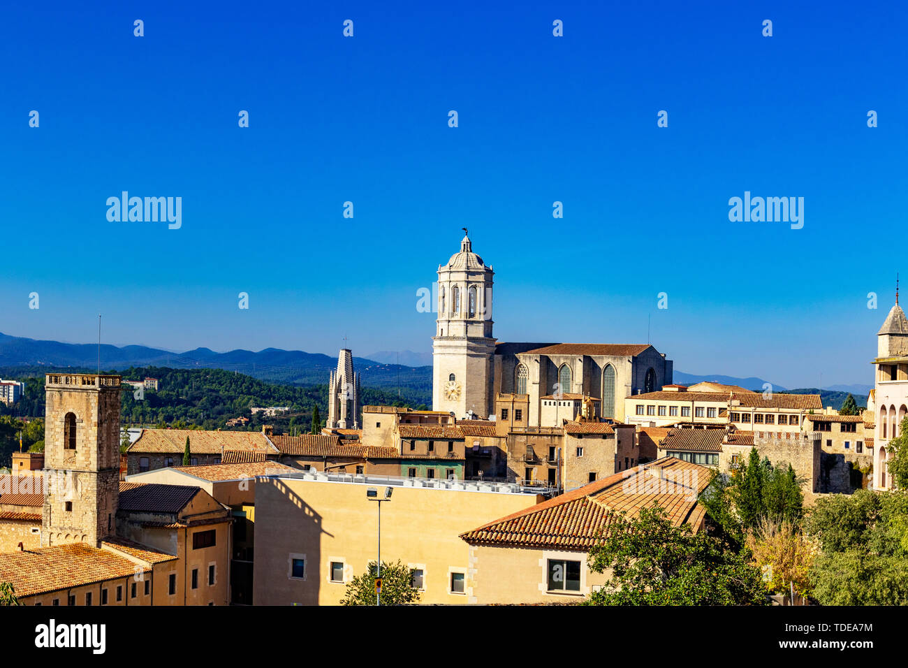 Girona Cathedral, also known as the Cathedral of Saint Mary of Girona ...