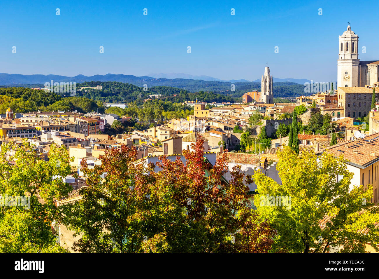 Girona Cathedral, also known as the Cathedral of Saint Mary of Girona ...