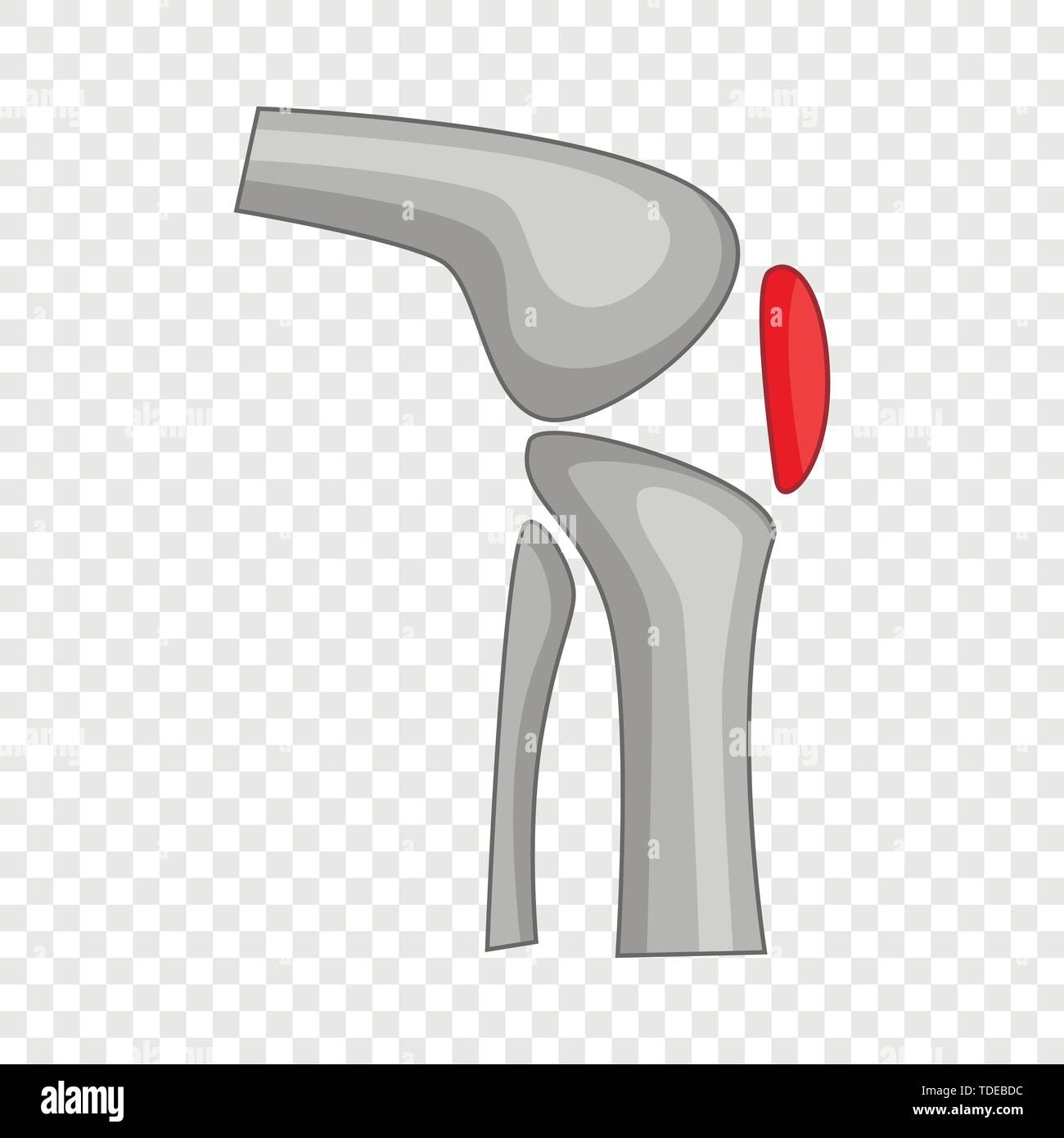 Cartoon Knee Joint