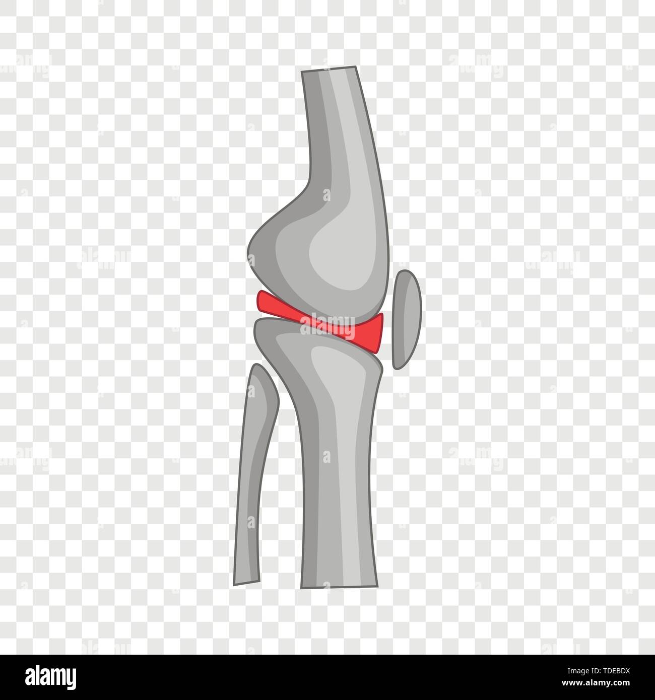 Cartoon Knee Joint