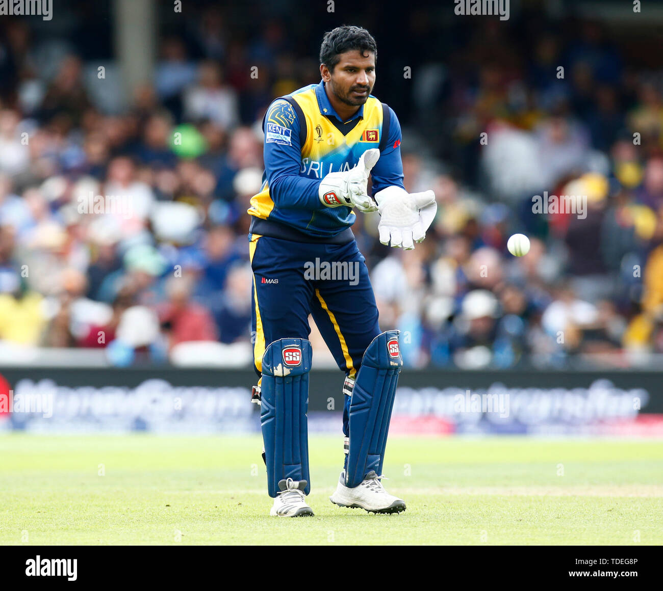 Sri lanka kusal perera hi-res stock photography and images - Alamy