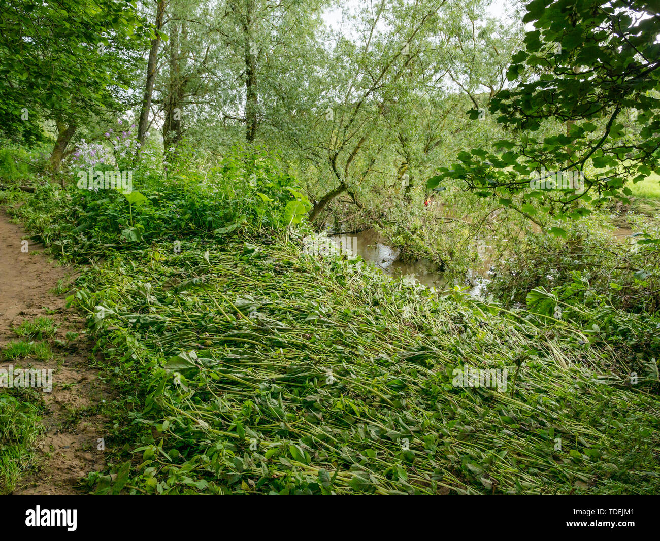 Damage river flood hi-res stock photography and images - Alamy