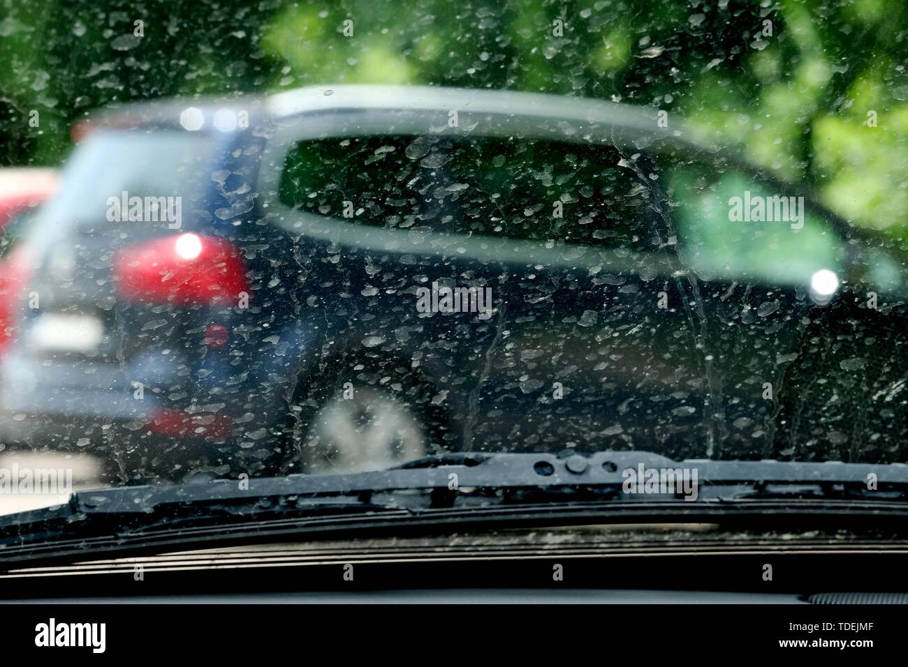 15 June 2019, Saxony, Leipzig: Dust stains can be seen on the window of ...